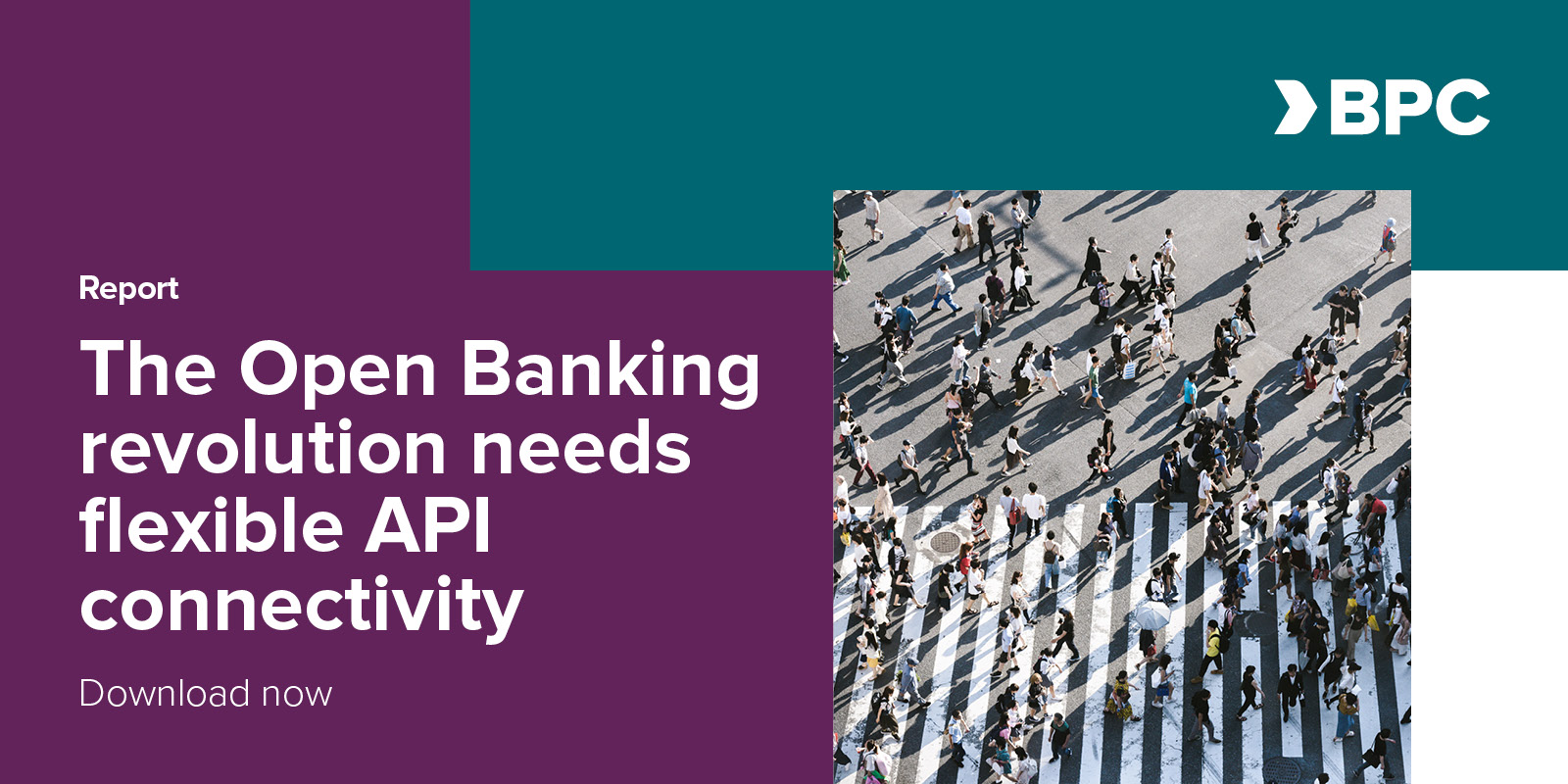 The Open Banking revolution needs flexible API connectivity | BPC